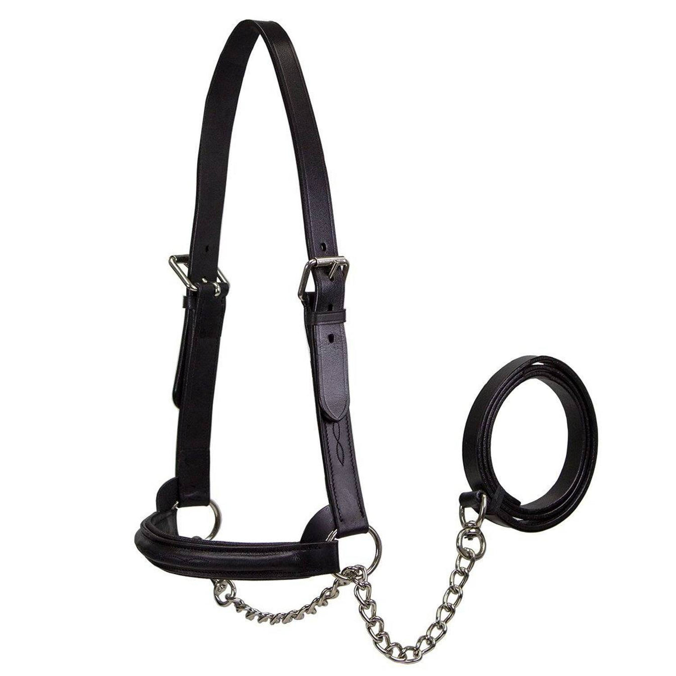 Raised Padded Leather Cattle Show Halter with Chain Lead – Derby Originals