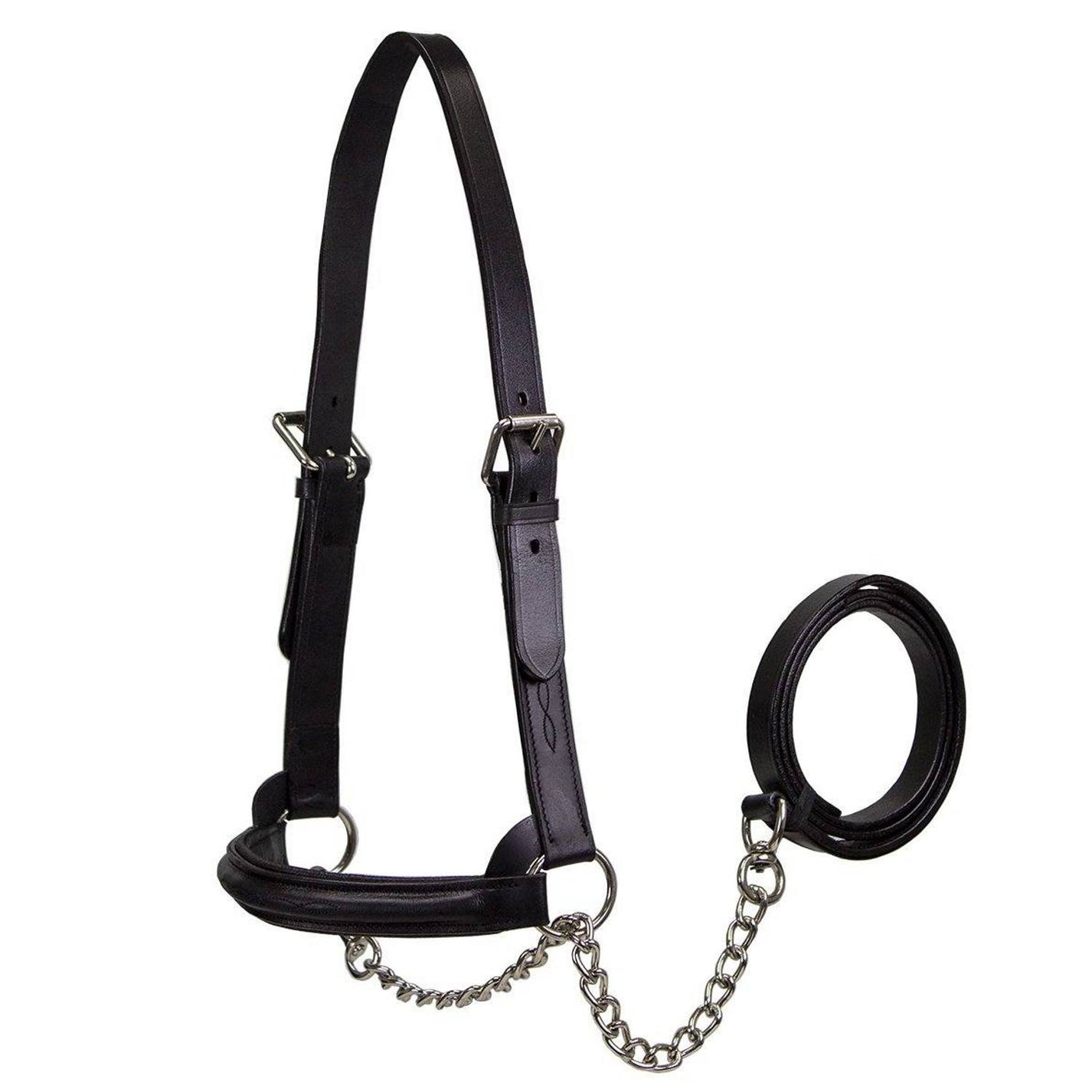 Raised Padded Leather Cattle Show Halter with Chain Lead – Derby Originals