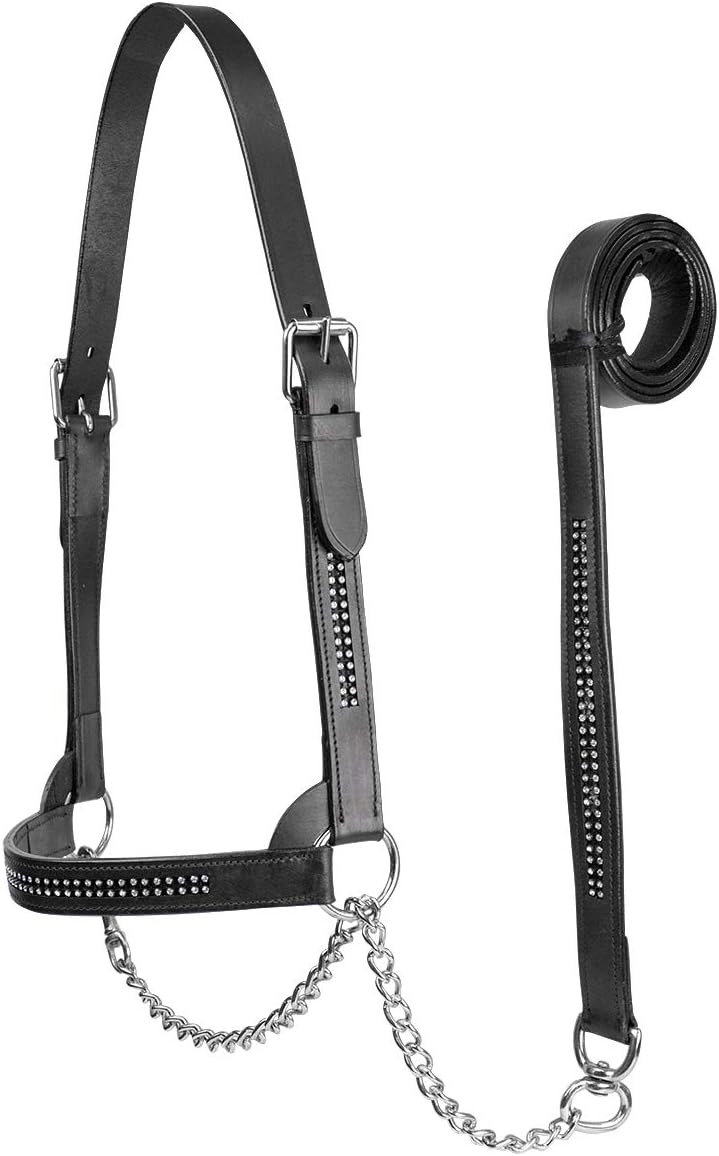 New & Improved Crystal Bling Flat Leather Cattle Show Halter with Chain ...