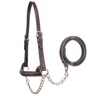 Raised Padded Leather Cattle Show Halter with Chain Lead – Derby Originals