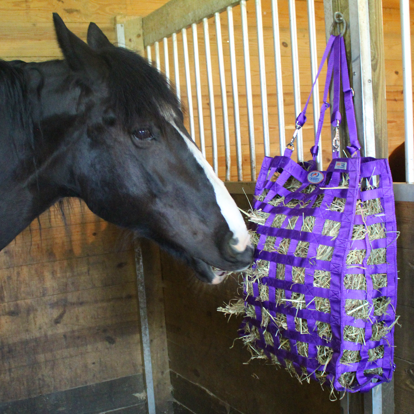 Superior Slow Feeder Horse Hay Bag - Super Tough Bottom | Derby Originals
