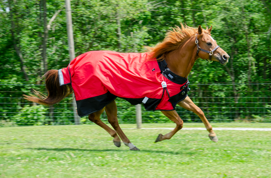 Turnout Sheets & Horse Blankets Online | Derby Originals