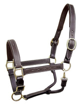 Leather Halters – Derby Originals