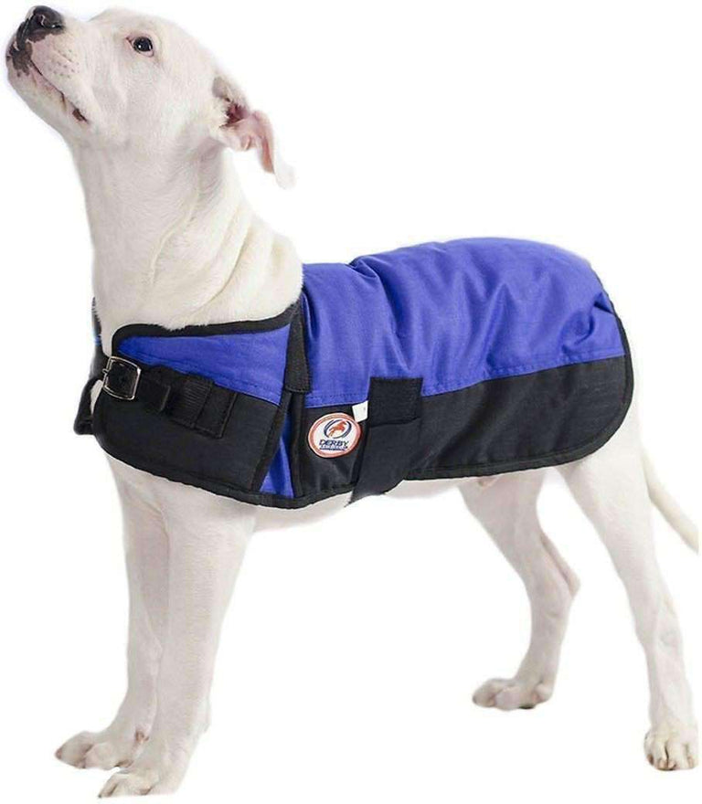 Derby Originals Horse Tough 600D Ripstop Waterproof Winter Dog Coat 15 ...