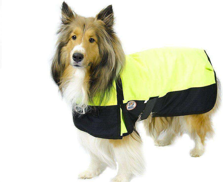 Derby Originals Horse Tough 600D Ripstop Waterproof Winter Dog Coat 15 ...
